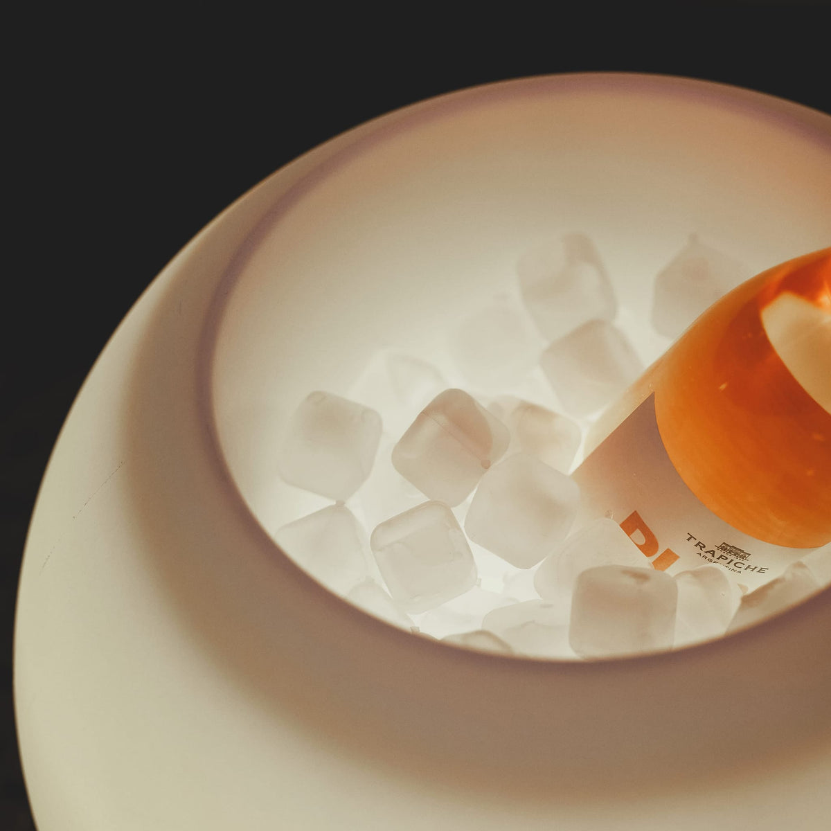 Reusable Ice Cubes — My Outdoor Room